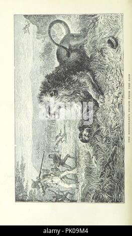 Image from page 20 of 'Travels in Tunisia. With a glossary, a map, a ...