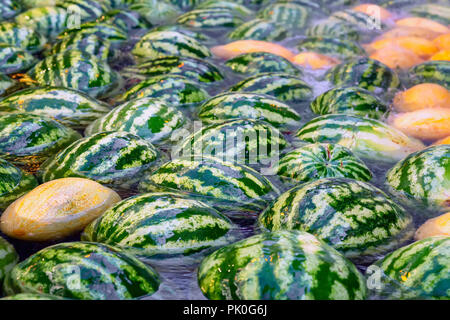 Natural large whole fresh watermelons and melons floating and cooling ...