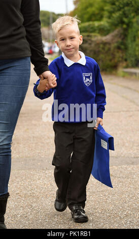Four year old Alexander Pickering, known as Xander, who has had five ...