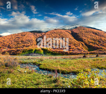 Ushguli, Upper Svaneti in autumn, Georgia Stock Photo - Alamy