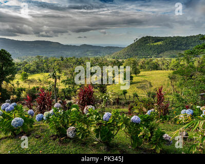 Drone view from above at a tropical beach in Seychelles. Anse Volbert ...