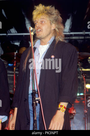 Bruce & Bongo in May 1986 in Hannover / Hanover. | usage worldwide ...