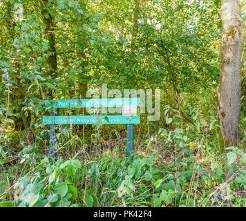 Kingswood woodland, Corby, England Stock Photo - Alamy