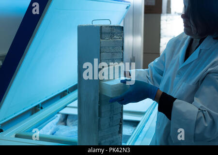 Female scientist removing ice cube in laboratory Stock Photo - Alamy