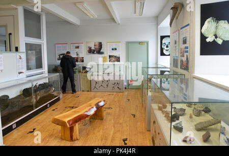 Inside the Art Gallery at Tenby Museum and Art Gallery, Tenby, Wales ...