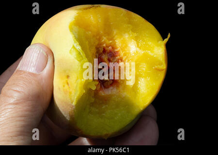 Part eaten peach being held in front of a dark background Stock Photo ...