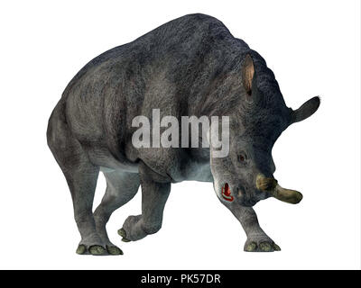 An illustration of Brontotherium on a white background. Brontotherium ...