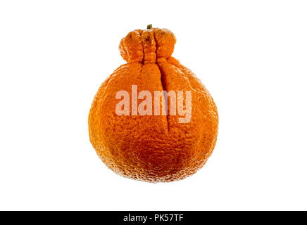 Dekopon is a seedless and sweet variety of mandarin orange Stock Photo ...