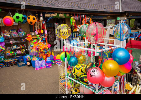 An attractive toy shop with outside colourful displays of hoops and ...