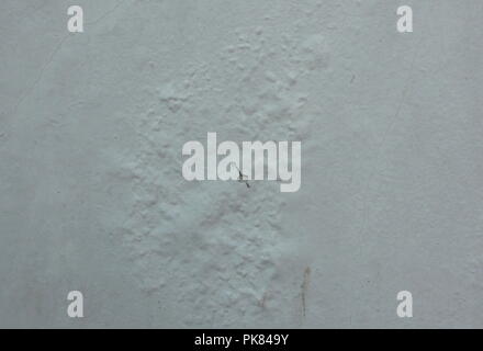 paint color swelling on old white wall Stock Photo - Alamy