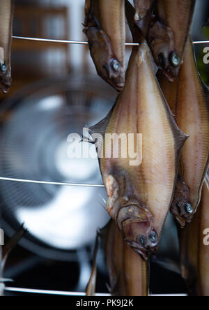 Drying fish, Kyoto, Japan Stock Photo - Alamy