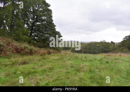 Country scenes in England Stock Photo - Alamy