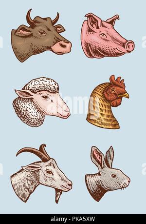 Farming rabbit icon. hand drawn icon set, outline black, doodle icon ...