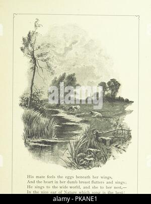 Image from page 167 of 'Life's Dawn on Earth being the history of the ...