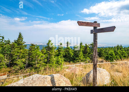 Wooden sign showing different directions on the top of a hill with pine ...