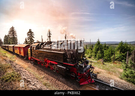 Steam locomotive driving through beautiful nature in the summer Stock ...