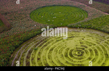 Huaying, Huaying, China. 13th Sep, 2018. Huaying, CHINA-Aerial ...