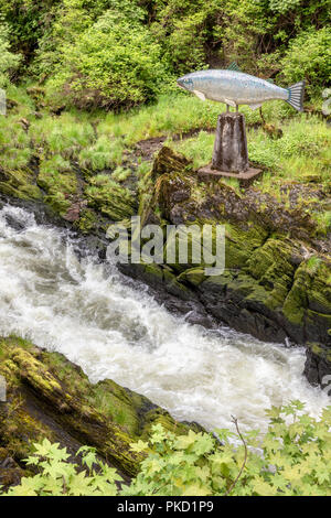Water rushing in a stream above a waterfall, Potoroo Falls in Tapin ...
