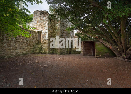 Hulne Priory sometimes called Hulne Abbey in Hulne Park Alnwick ...