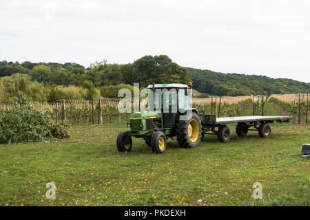Tractor in apple farm. Tractor and trailer with crates for apples ...