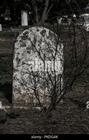 Old headstone/tombstone with small dried out tree in front Stock Photo ...