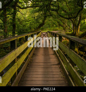 Shaugh Bridge, Dartmoor National Park, Devon Stock Photo - Alamy