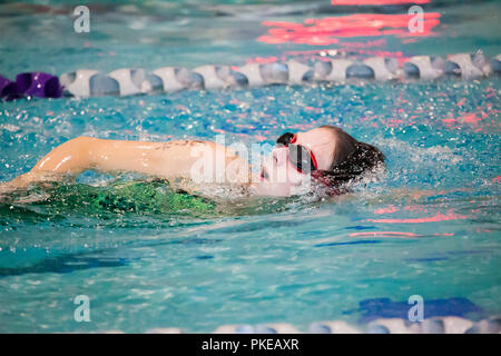 Woman swimming laps Stock Photo - Alamy