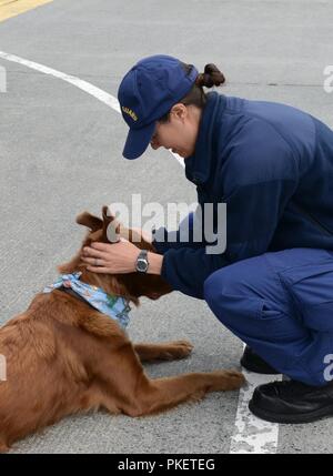A military service member returns from a four-month deployment to ...