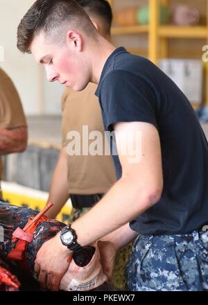 Texas (July 9, 2018) -- Hospital Corpsman 1st Class Misty R. Banks ...