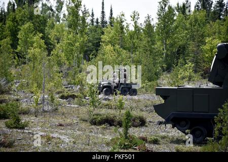 Soldiers of the 1st Battalion, 296th Infantry Regiment, Puerto Rico ...