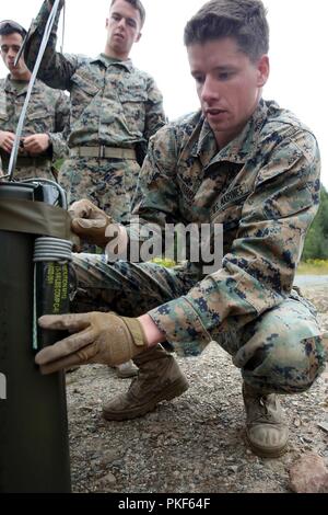 U.S. Marines and U.S. Navy Sailors assemble a forward resuscitative ...