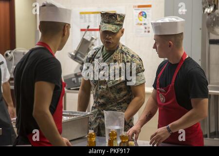 U.S. Marine Lance Cpl. Gage Kirkpatrick, a satellite transmissions ...