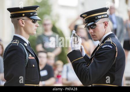 Tomb Sentinels from the 3d U.S. Infantry Regiment (The Old Guard ...