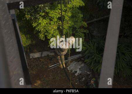 U.S. Marine Lance Cpl. Luke Penfield, a forward observer with ...
