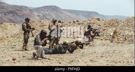 US Navy SWAT team training Stock Photo - Alamy