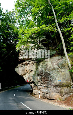 The "Petite Suisse" nature area near Berdorf (Grand Duchy of Luxembourg ...