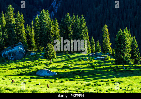 JingHe county in xinjiang grassland scenery Stock Photo - Alamy