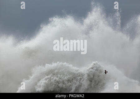 Huge stormy sea wave splash Stock Photo - Alamy