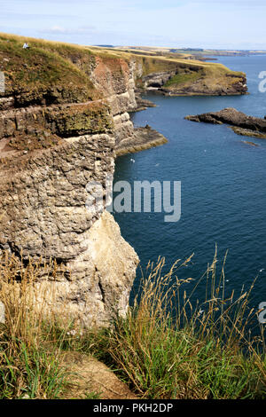 Cliff view at Crawton Bay, Scotland, Highlands, United Kingdom Stock ...