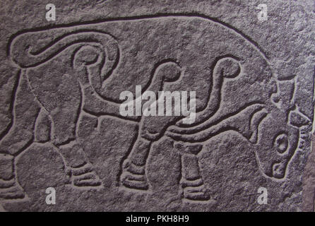 Pictish carving of a bull known as the 'Burghead Bull' because it was ...