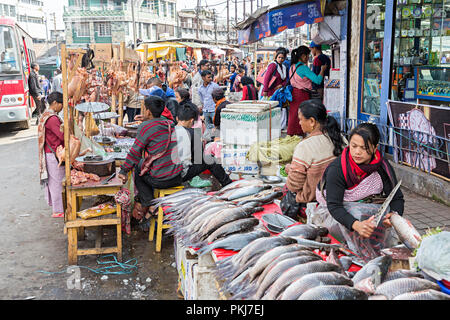 Fish market, Shillong, Meghalaya, India Stock Photo - Alamy
