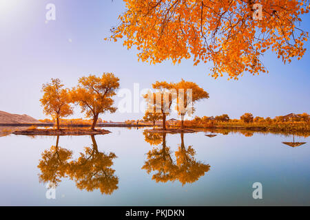 The taklamakan desert in xinjiang Stock Photo - Alamy