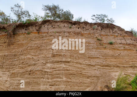 steep sea shore, clay overgrown slope, different soils on the collapsed ...
