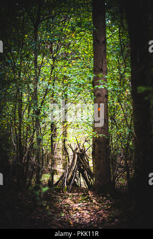 Hand made shelter, Natural Woodland Stock Photo - Alamy