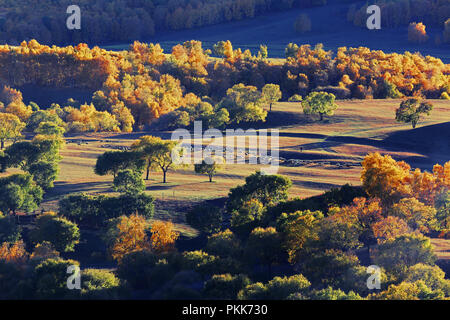 Hebei bashang grassland scenery Stock Photo - Alamy