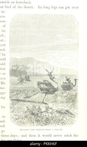 Image from page 299 of 'Home Life in Colonial Days. . Illustrated, etc ...