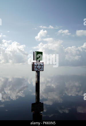 Manatee white background Stock Photo - Alamy