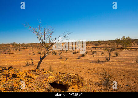 Australian outback landscape during drought with trees & blue sky Stock ...