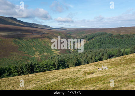 Moorland landscape beside the Snake Pass between Glossop and Bamford ...