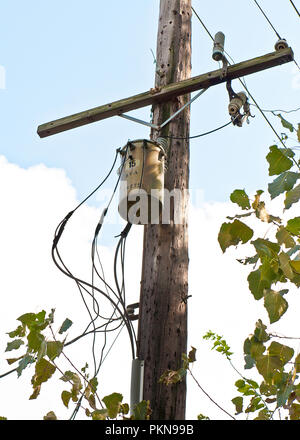 Wood utility pole with electric wires. Quebec,Canada Stock Photo - Alamy